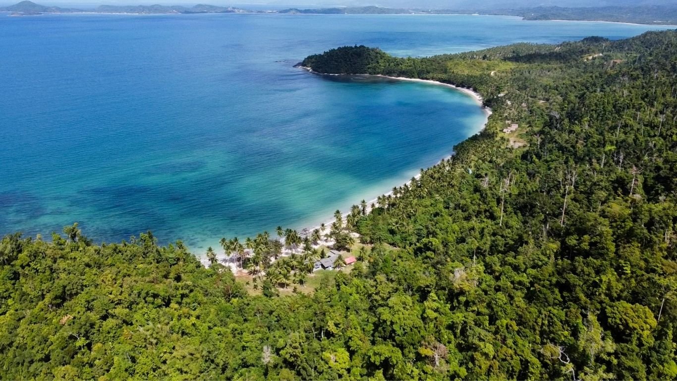 Discover the Hidden Gem of Palawan: San Vicente’s Agricultural Lots for ...
