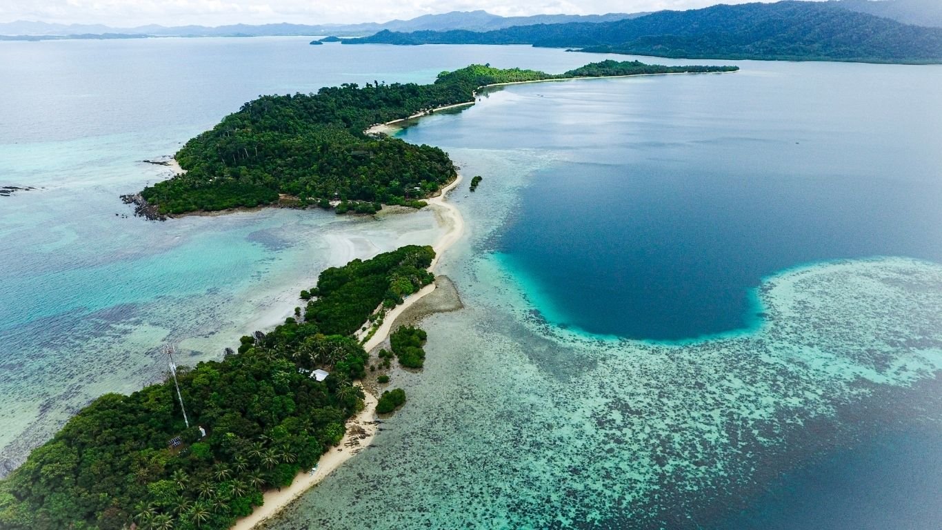 Unlocking the Hidden Gem of Palawan: Investment Opportunities in San ...